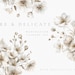 White Rustic Flower Clipart Bundle Watercolor Clipart Wedding Clipart ...