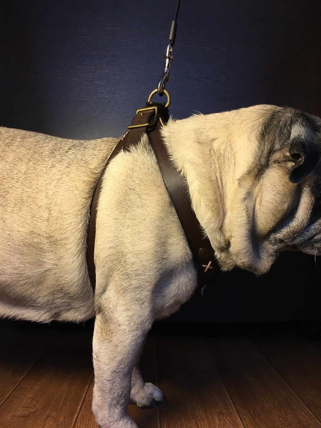 Dog Harness Pattern Dog Harness Pattern Pnf Harness Pattern - Etsy