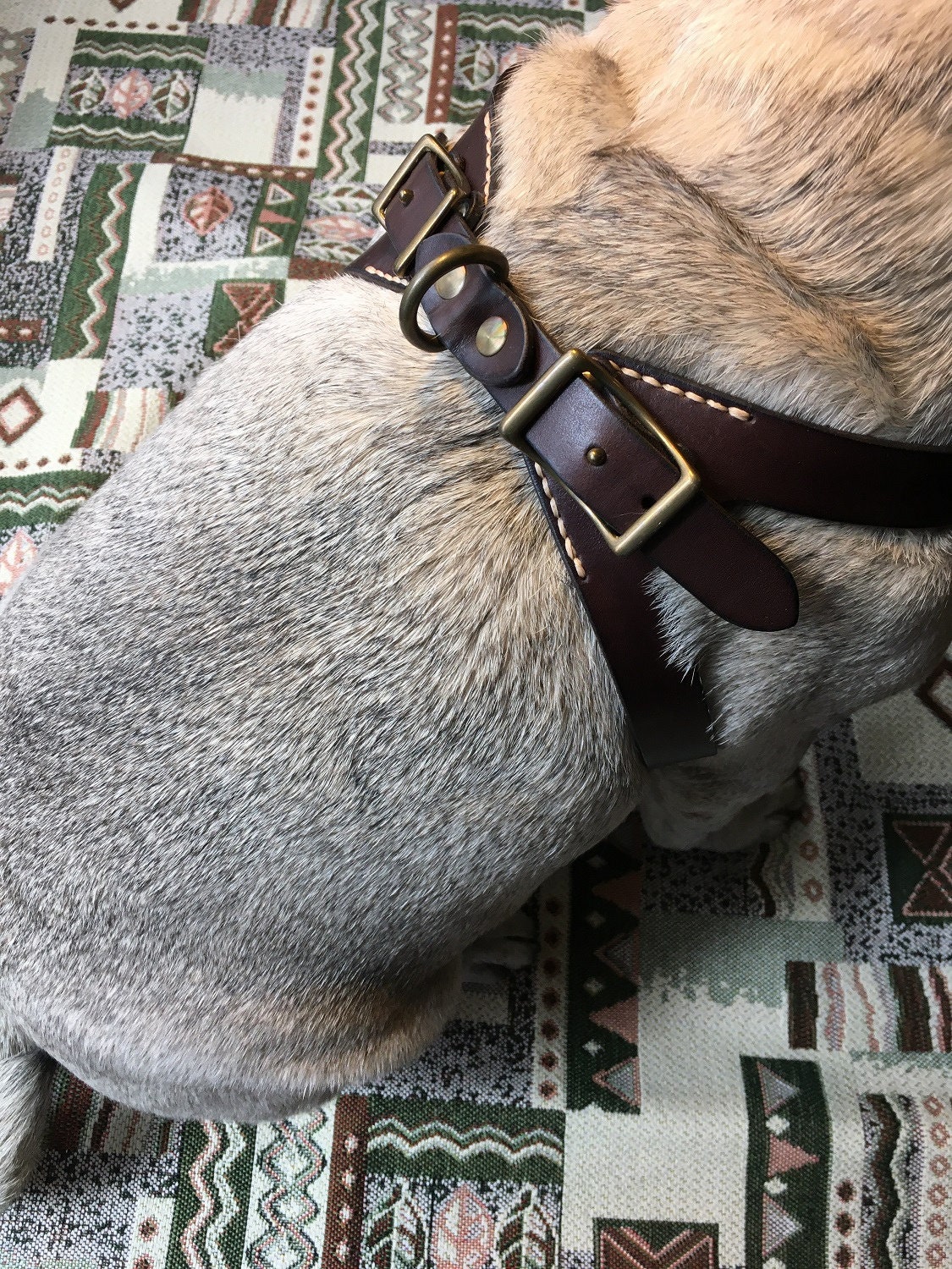 Dog Harness Pattern Dog Harness Pattern Pnf Harness Pattern - Etsy