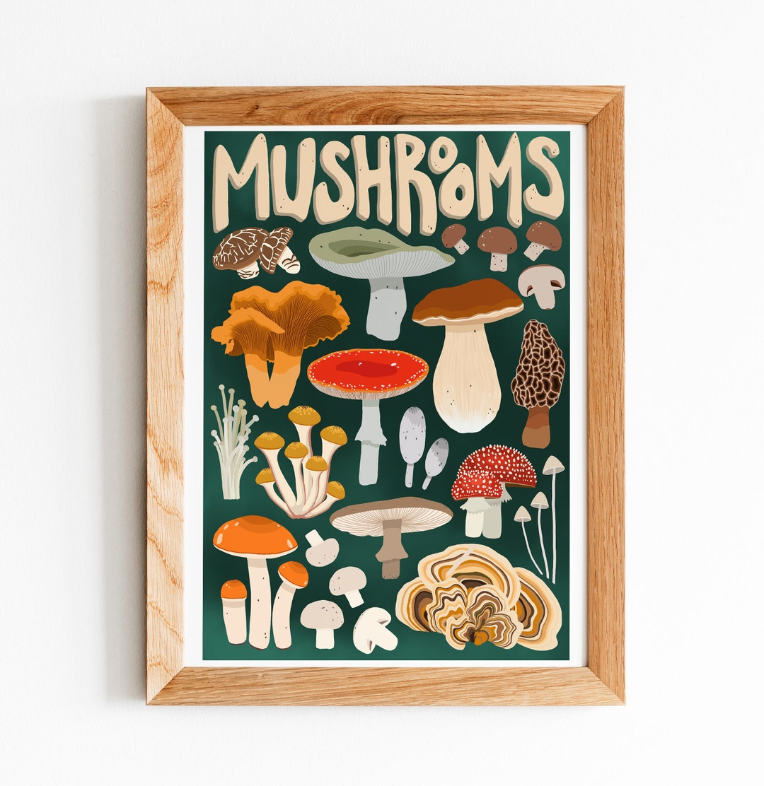 Mushroom Art Print Mushroom Wall Decor Etsy
