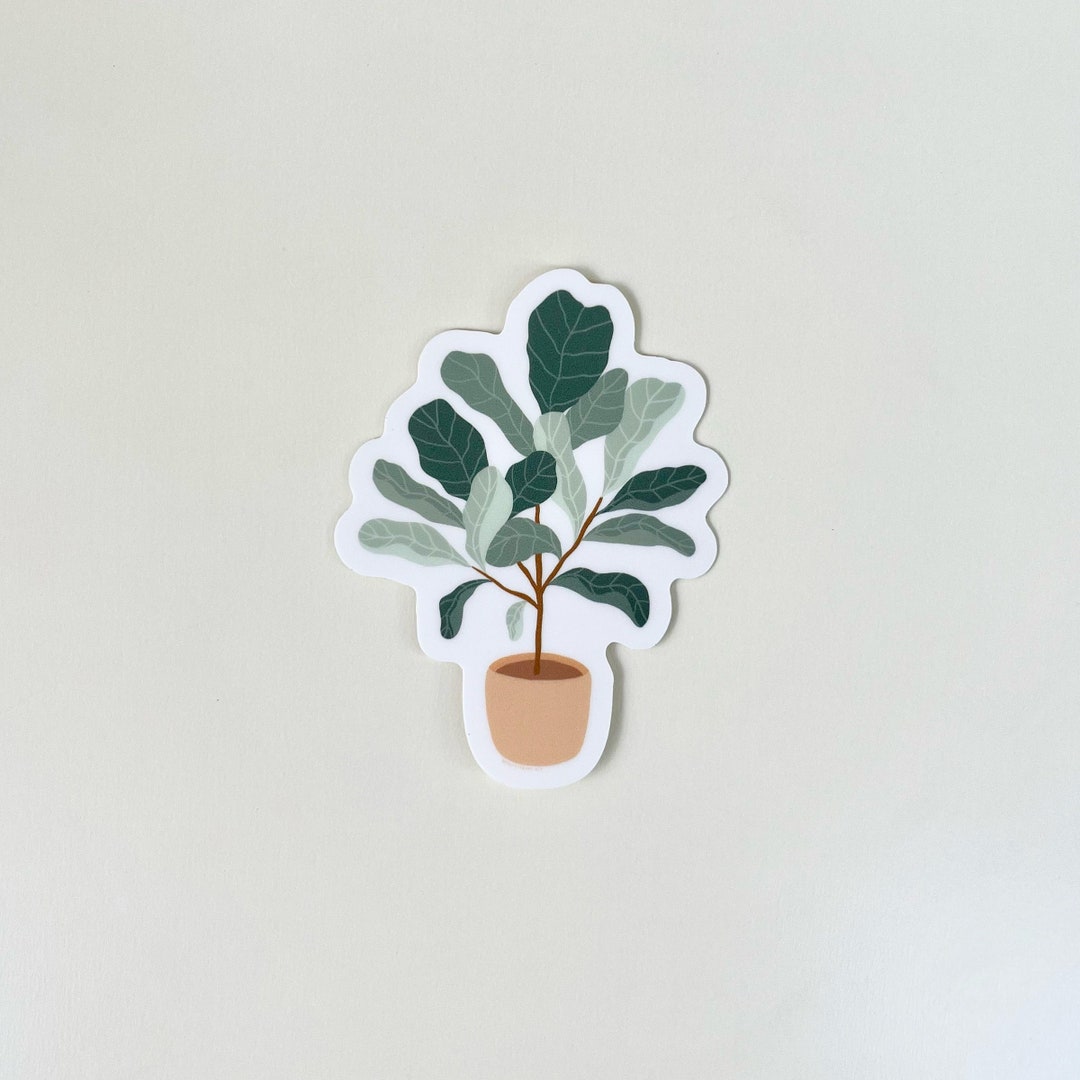 Fiddle Leaf Fig Sticker, Plant Vinyl Sticker - Etsy