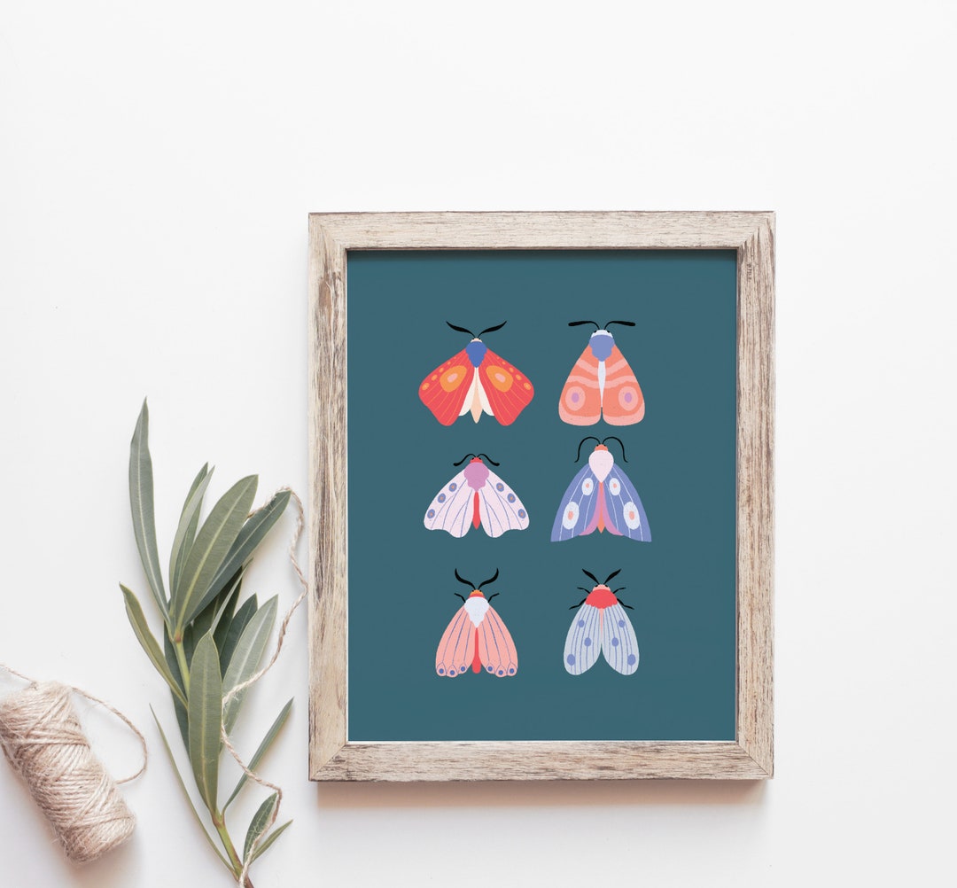 Moth Illustration Art Print, Moth Wall Art - Etsy
