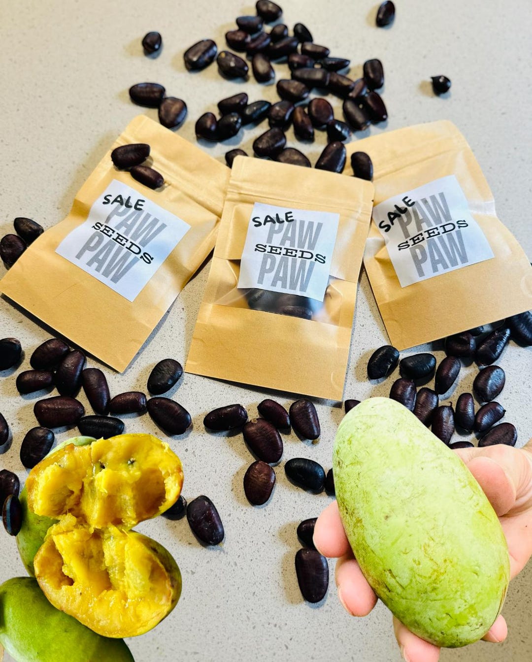 Sweet Paw Paw Seeds for Limited Time - Etsy