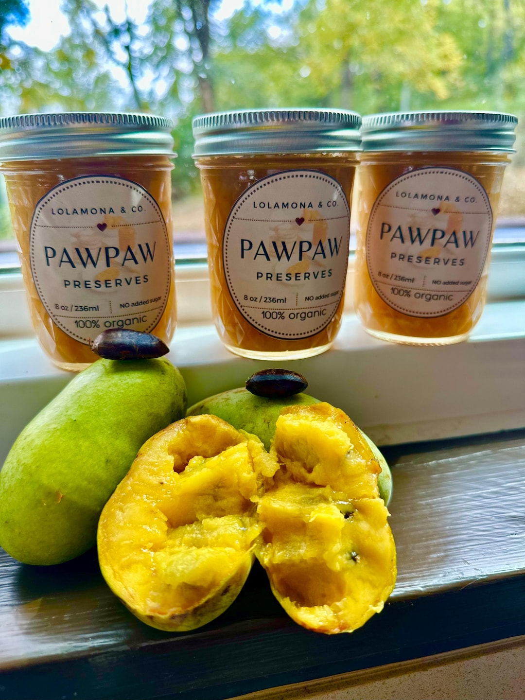 2026 PRE-ORDER SEASON Organic Paw Paw Fruit Preserves: Limited Edition ...