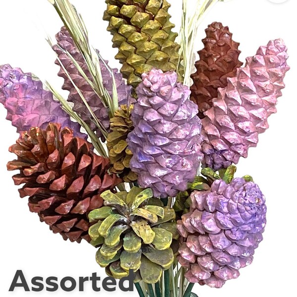 Painted Pine Cone - Etsy