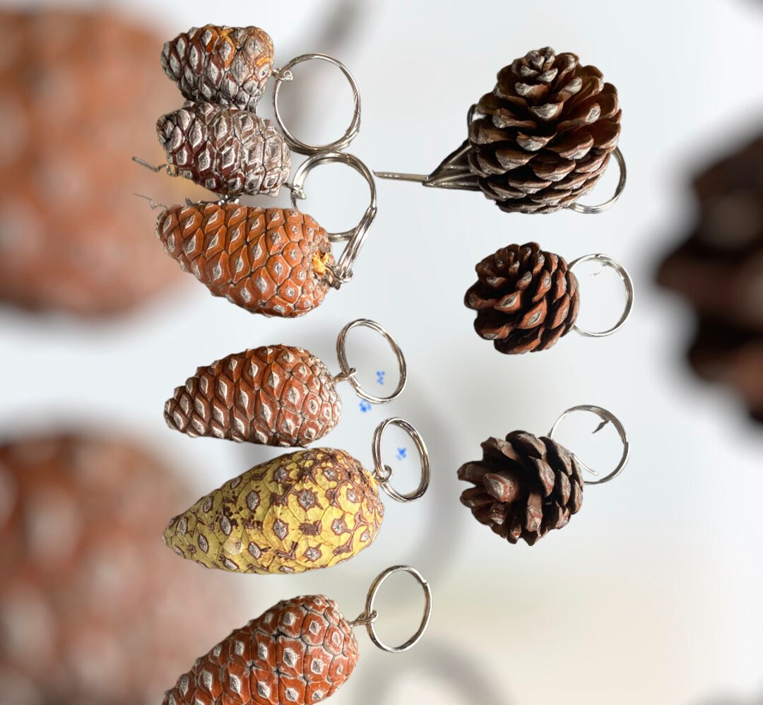 Magic Knob & Flower Keychain II Weather Predictor II Will Open Overtime ...