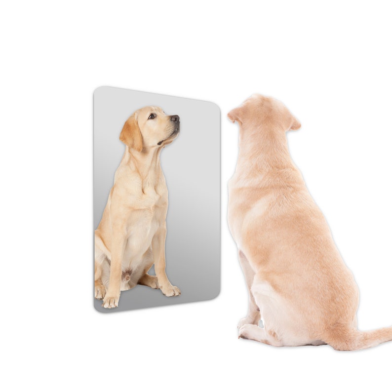 Rectangle Shatterproof Acrylic Safety Wall Mirror With Rounded - Etsy