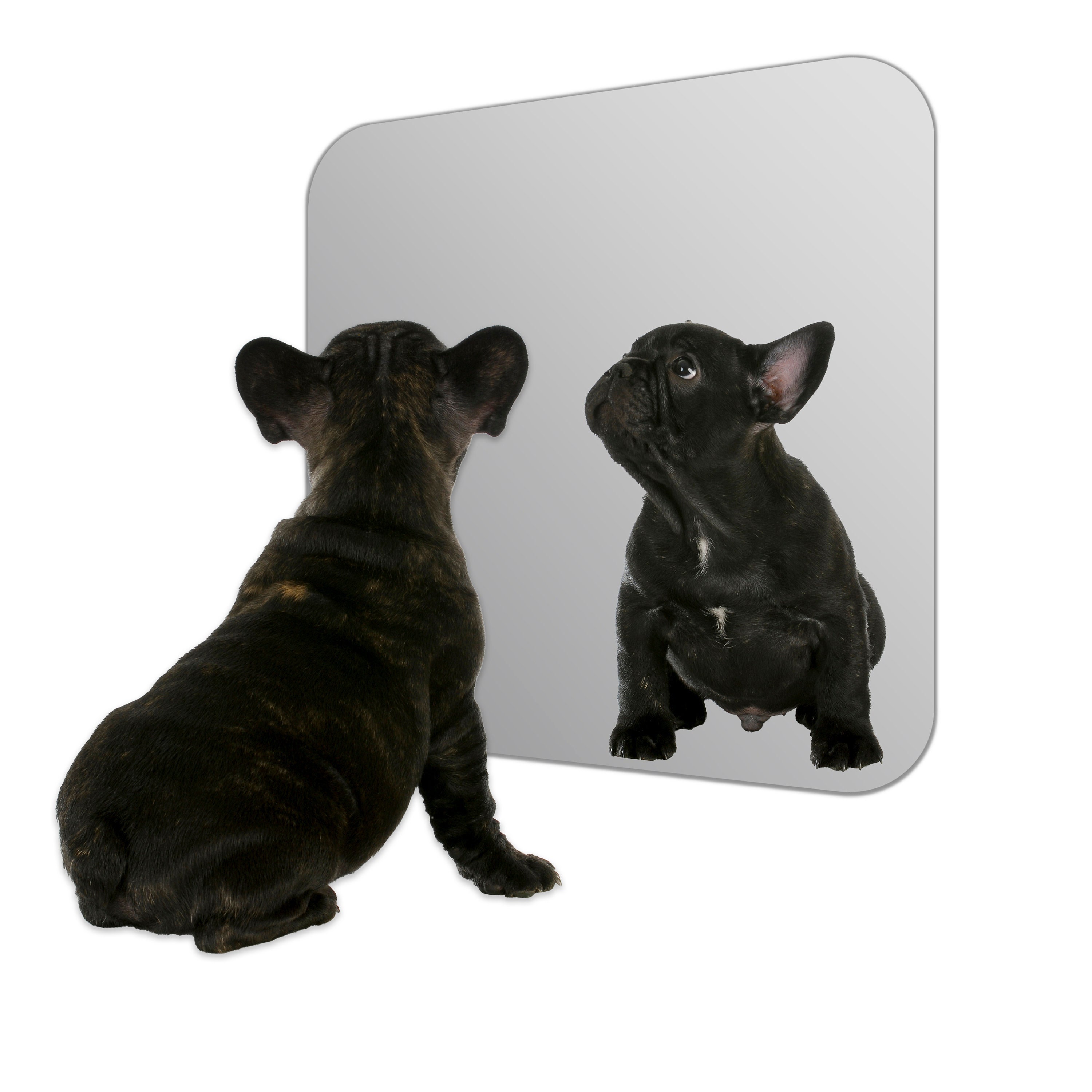 Square Shatterproof Acrylic Safety Wall Mirror With Rounded Corners - Etsy