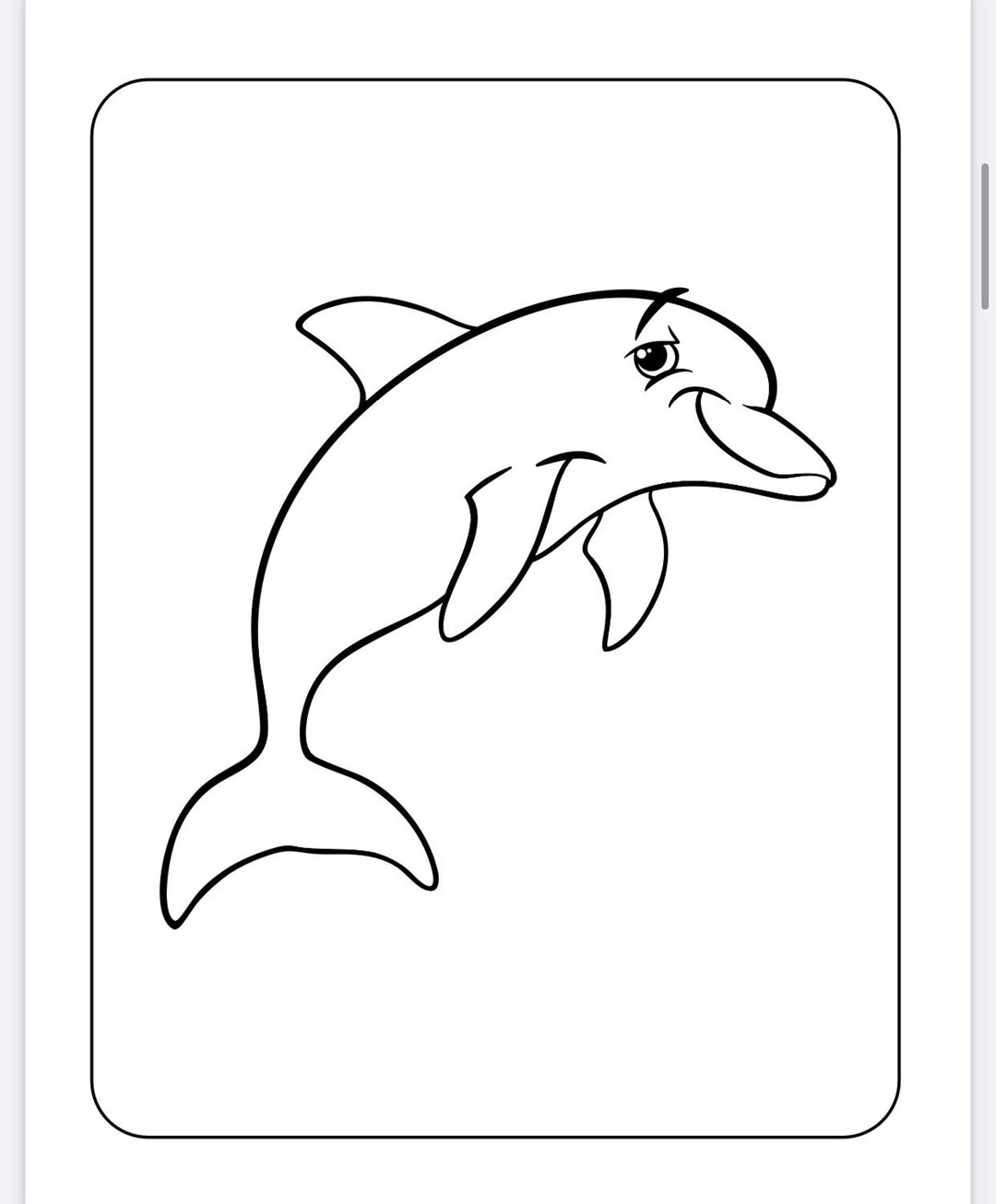 Sea Animals Coloring Paged - Etsy