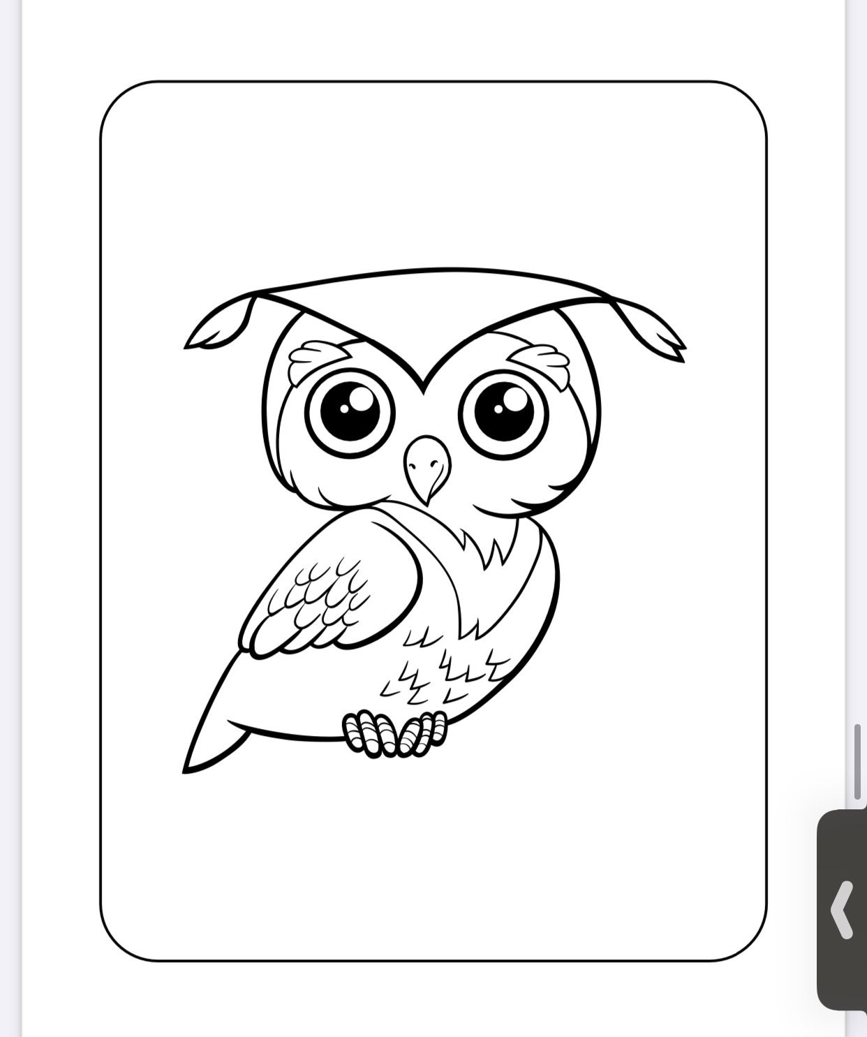 Animal Learning Coloring Pages - Etsy