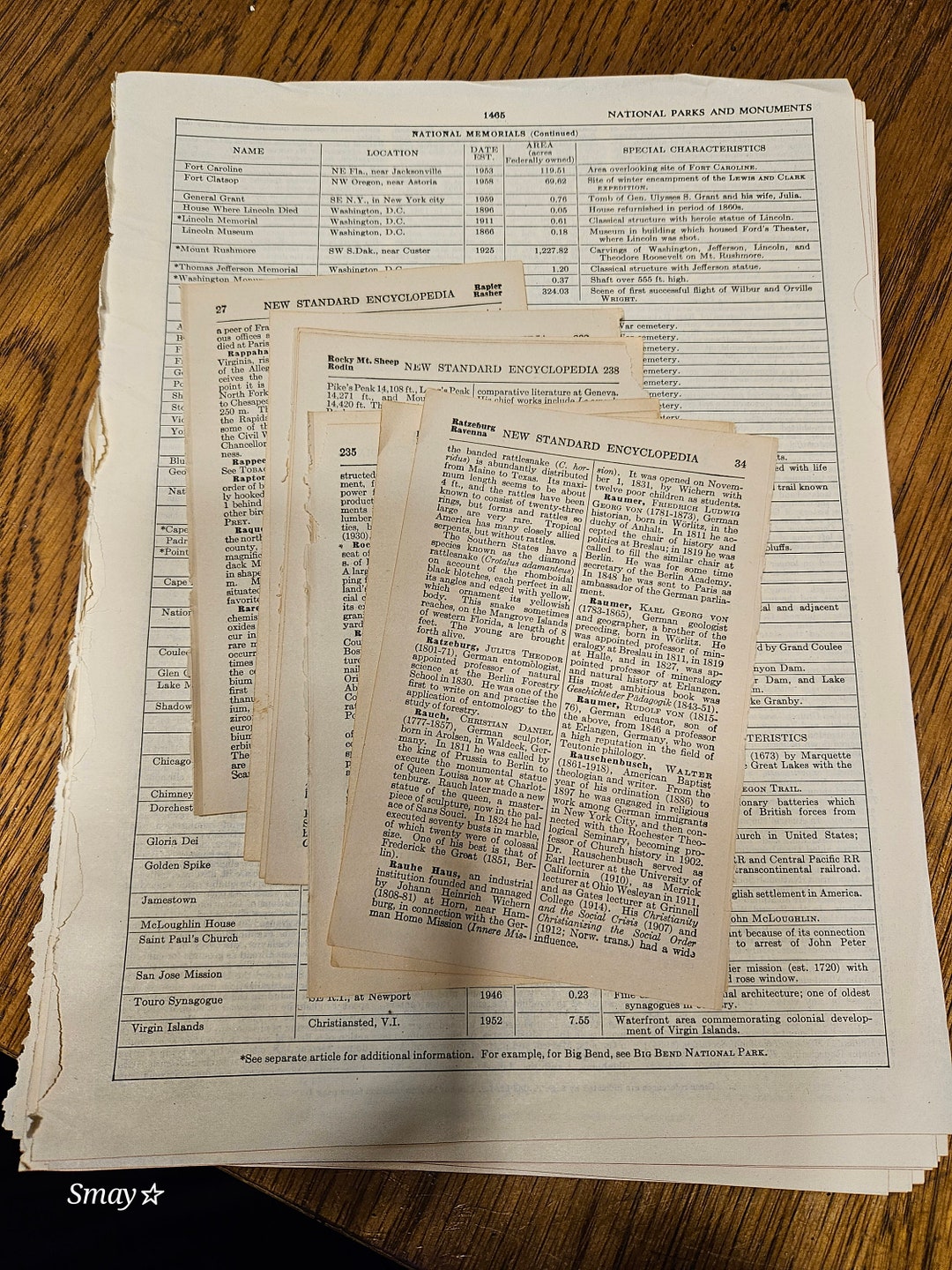 Vintage Encyclopedia Book Page Bundle - Etsy