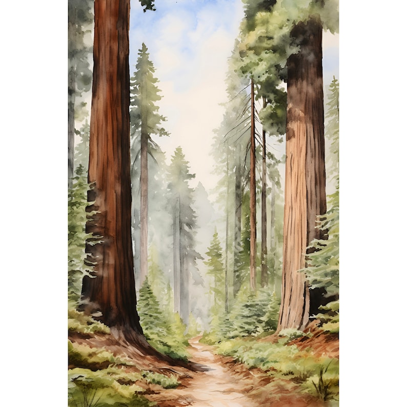 Sequoia National Park Poster California Landscape Wall Art Green Brown ...