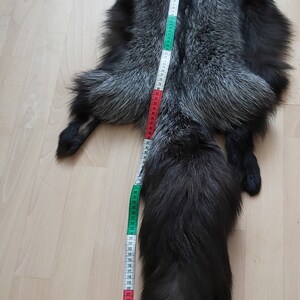 Silver Fox Pelts 140-150 CM. - Etsy