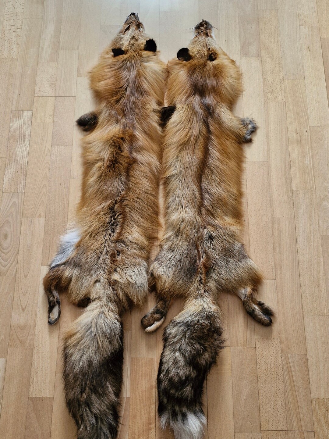 Innish Gold Fox Pelt With Paws and Claws, Fox Pelt, Fox Skin, Fox Fur ...