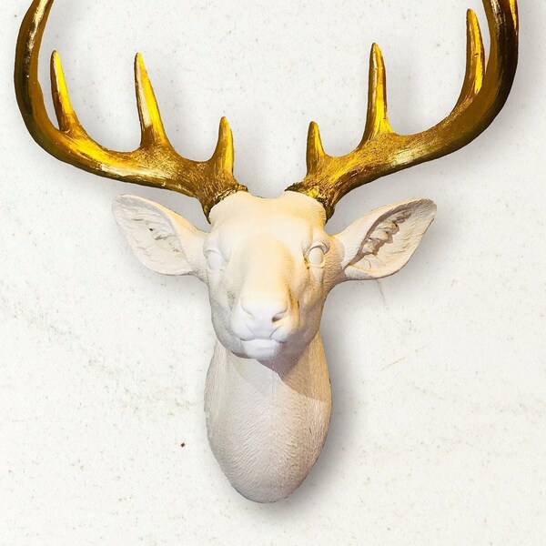 Mounted Animal Head - Etsy