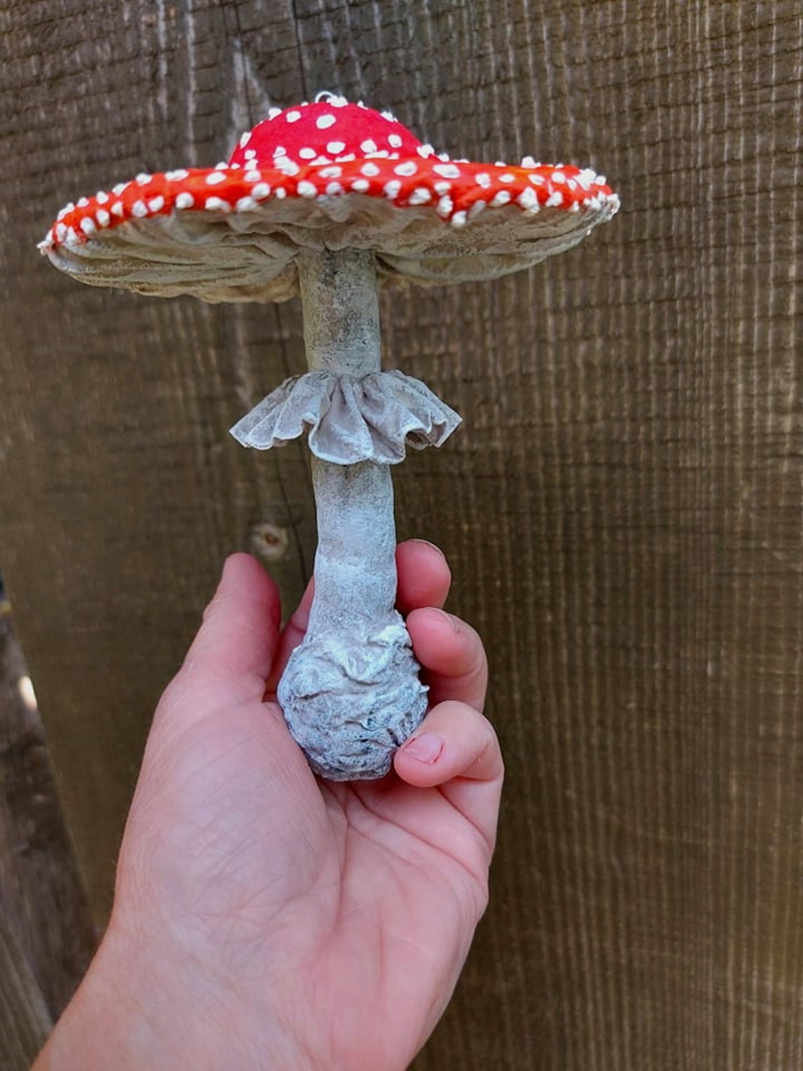 Mushroom Ornaments Fungus Specimen Toadstool Decoration - Etsy