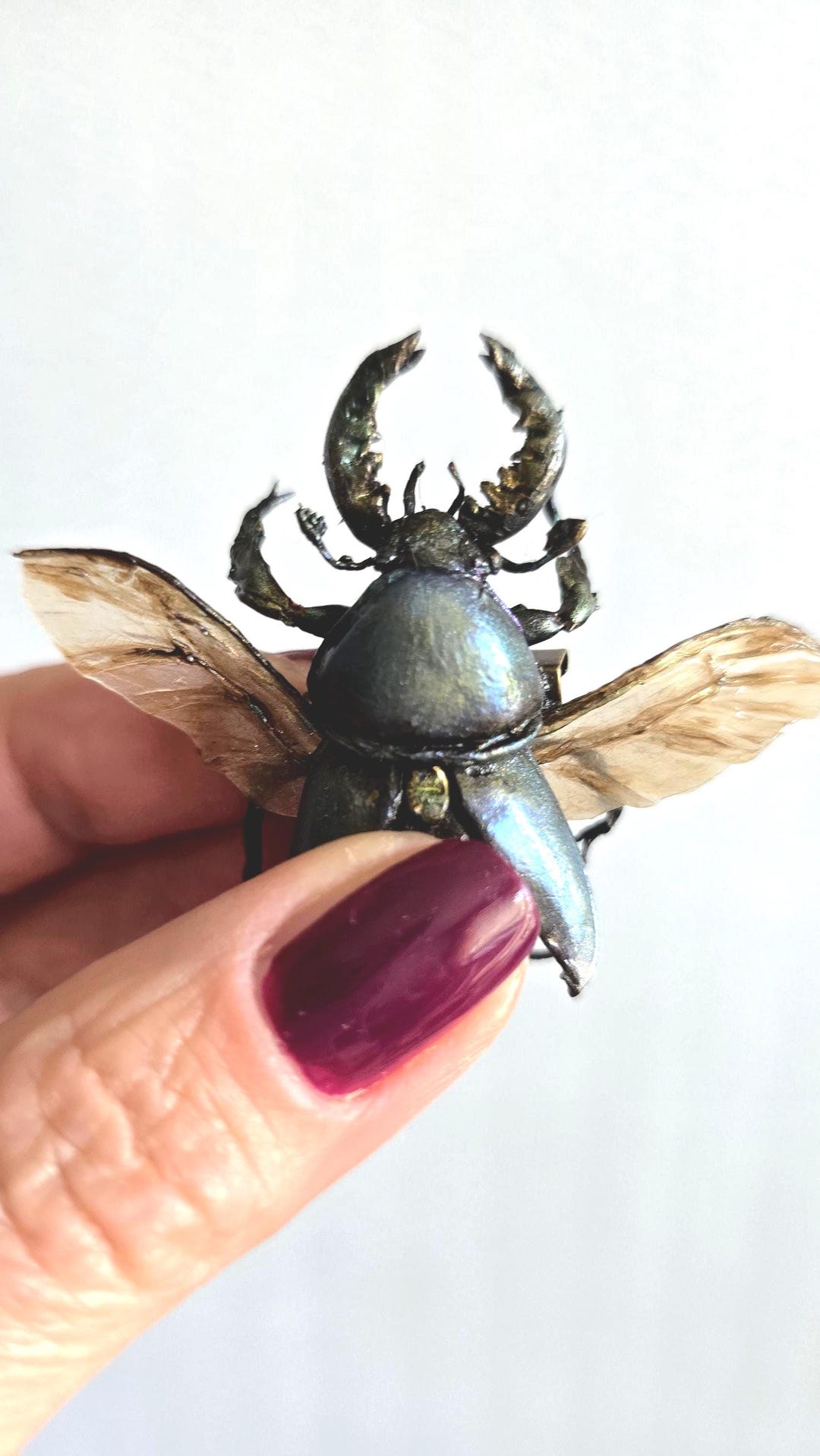 Lifelike Stag Beetle Pin, 3 D Life Size Insect Brooch, Horned Bug Pin ...