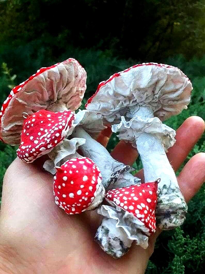 Mushroom Ornaments, Fungus Specimen Toadstool Decoration, Christmas ...