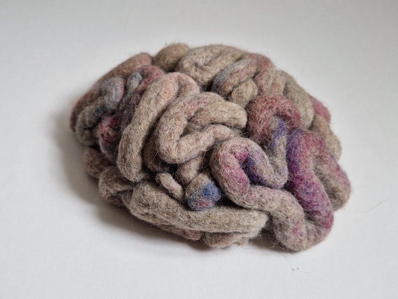 Human Brain Ornament Art Gift Idea for Doctor - Unique Psychology ...