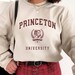 Princeton University, Princeton Sweatshirt, Vintage Sweater, Ivy League ...