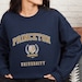 Princeton University, Princeton Sweatshirt, Vintage Sweater, Ivy League ...