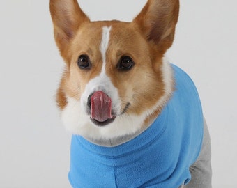 Corgi Dog Clothes - Etsy