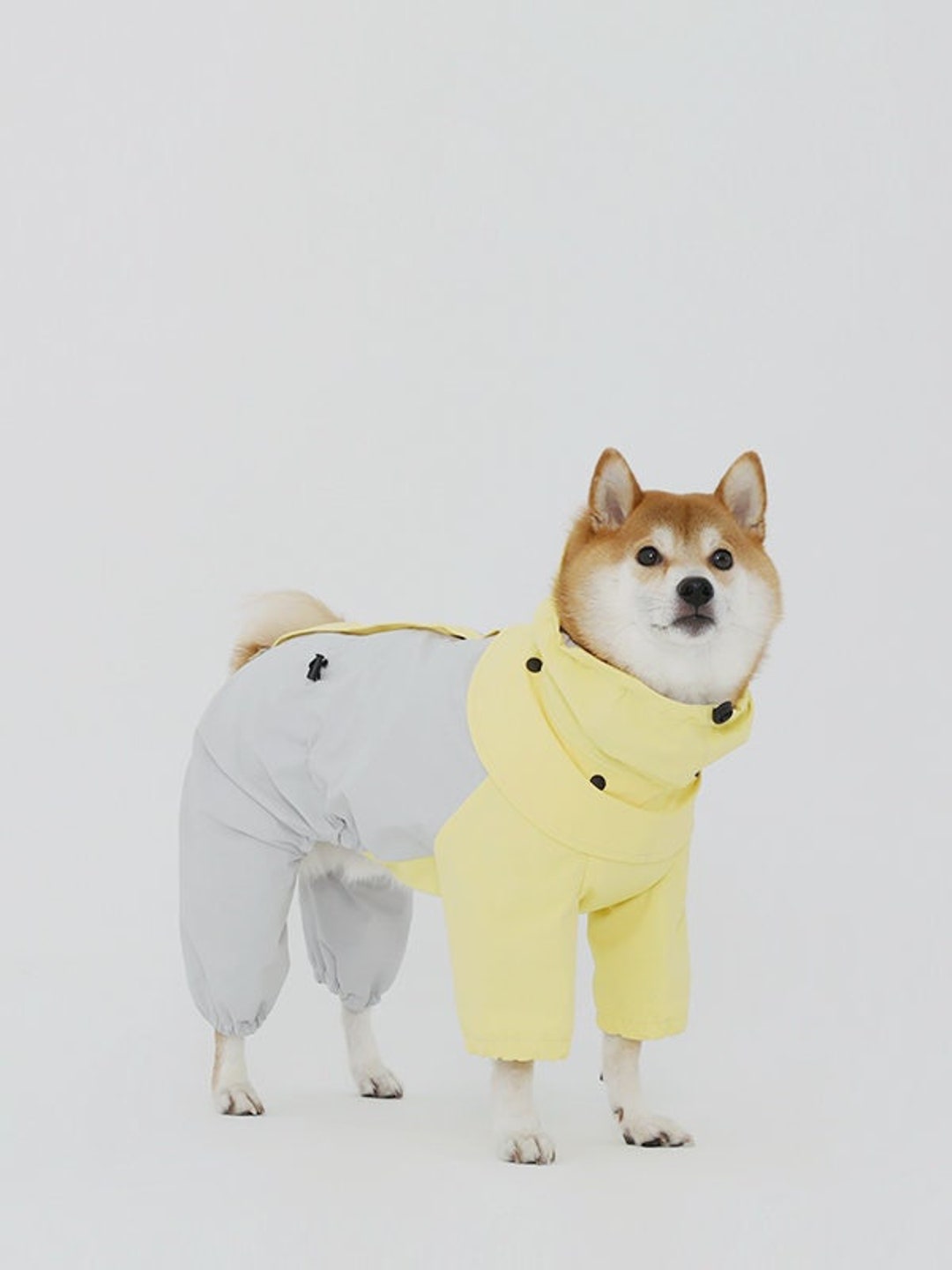 Shiba Inu All-in-one Windbreaker & Rain Coat Dog Clothing Clothes Wear ...