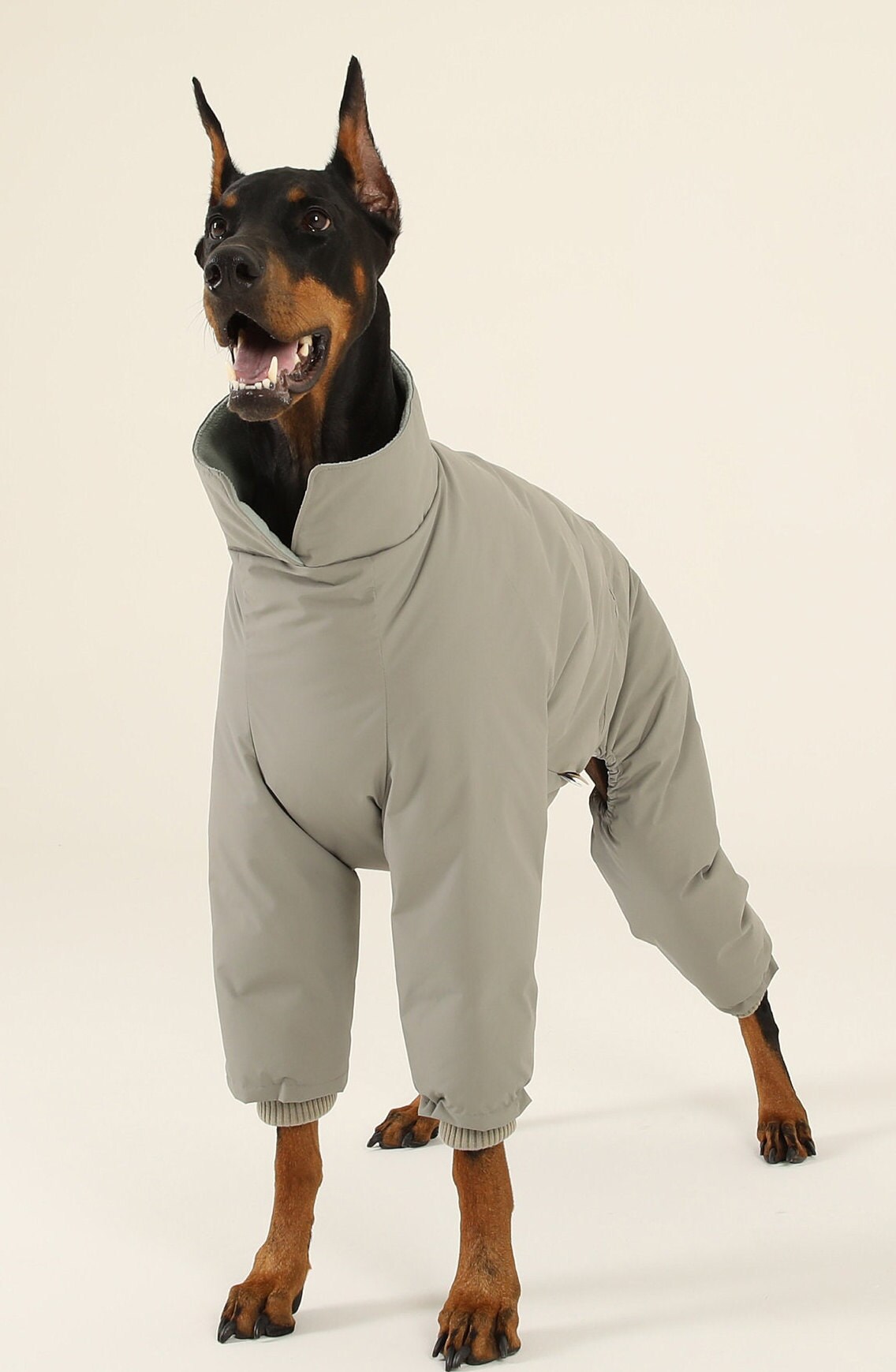Dobermann Pinscher Comfort All In-one Padding Jumper Jacket - Etsy Canada