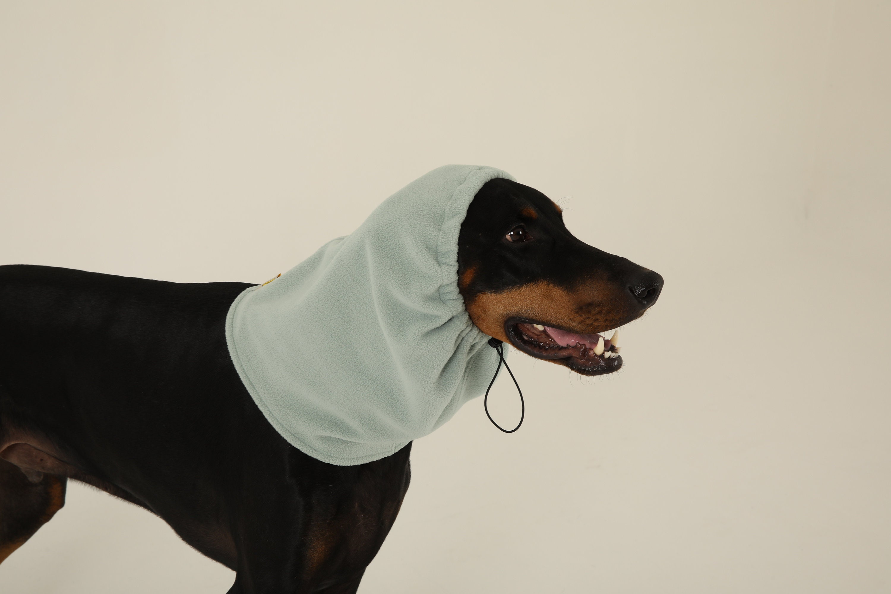 Dobermann Pinscher Comfort All In-one Padding Jumper Jacket - Etsy Canada