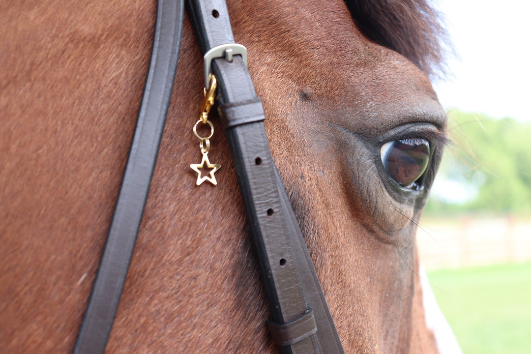 Star Tack Charm - Etsy