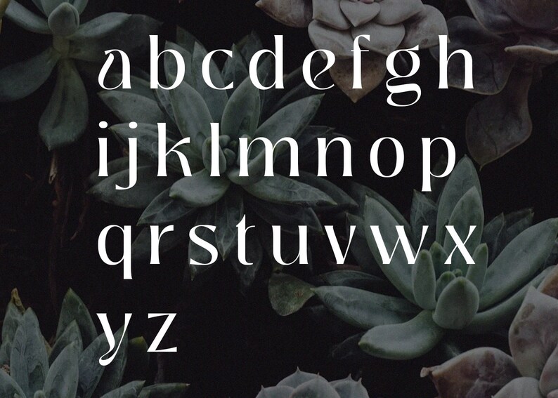 Mirage Font - Retro Font, Modern Font, Boho Font, Branding Font, Swash ...