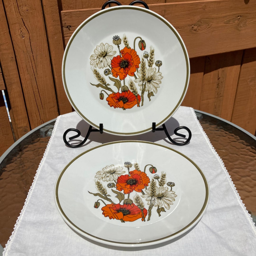 Vintage J&G Meakin Poppy 10” Dinner Plates *set of Two* 1970s Orange ...