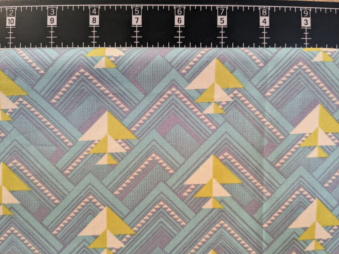 By the Yard Amy Butler, Splendor Head North PWAB 171 - Etsy