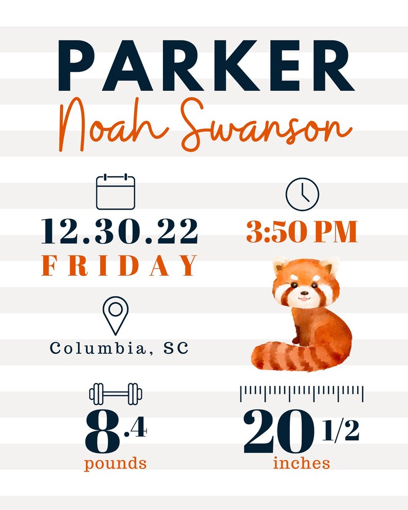 Custom Birth Stats Printable Digital Download - Etsy