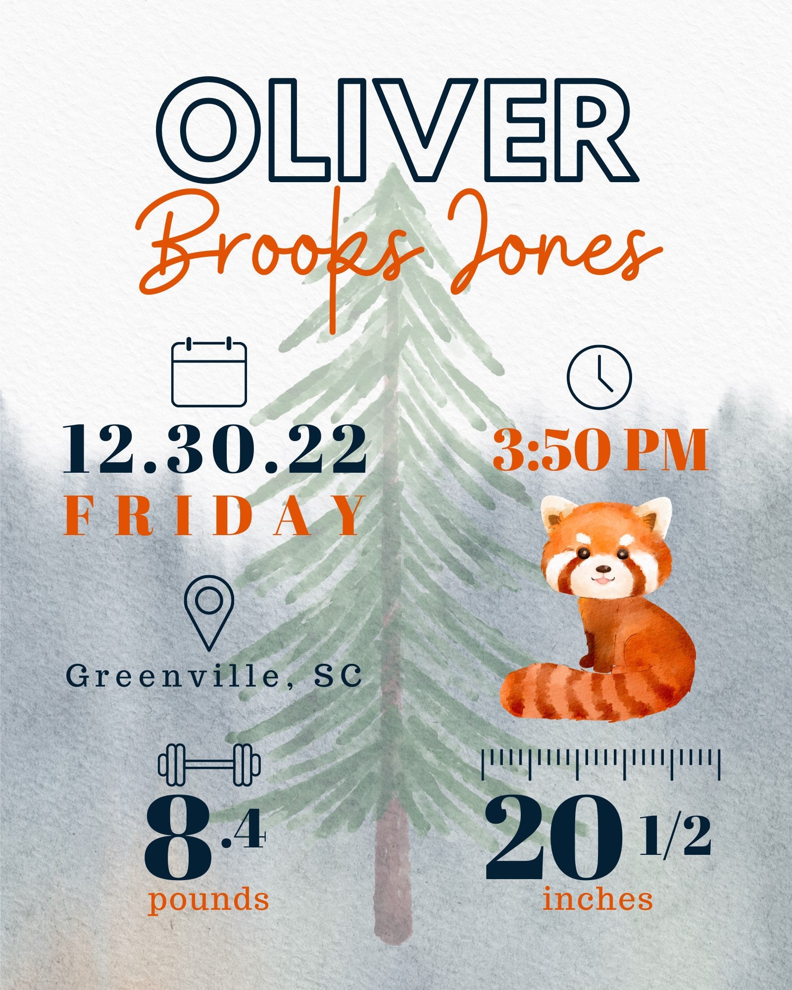 Custom Birth Stats | Printable | Digital Download - Etsy