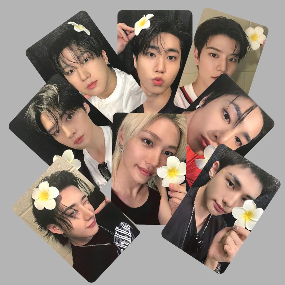 Stray Kids SKZ Karma Pob Photocards Flower Vers -preorder - Etsy