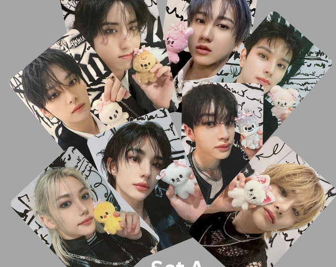 Stray Kids SKZ 5th Fanmeeting MD Photocards - Etsy