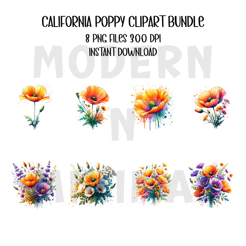 California Poppy Clipart Bundle - 8 PNG Files, 300 DPI, Instant ...