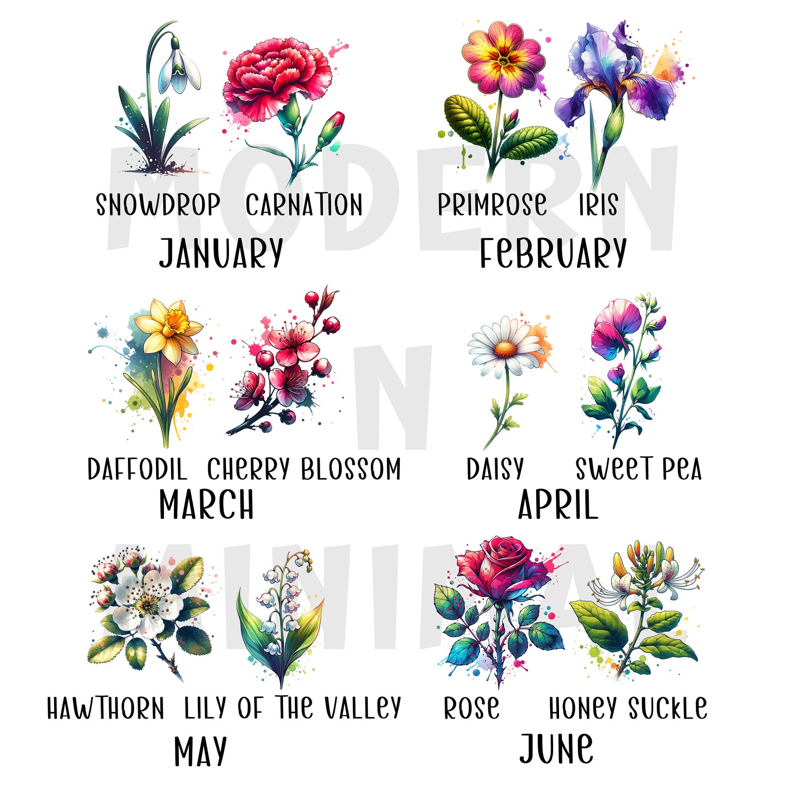 Birth Month Flower Clipart Bundle - Watercolor Two Floral Illustrations ...