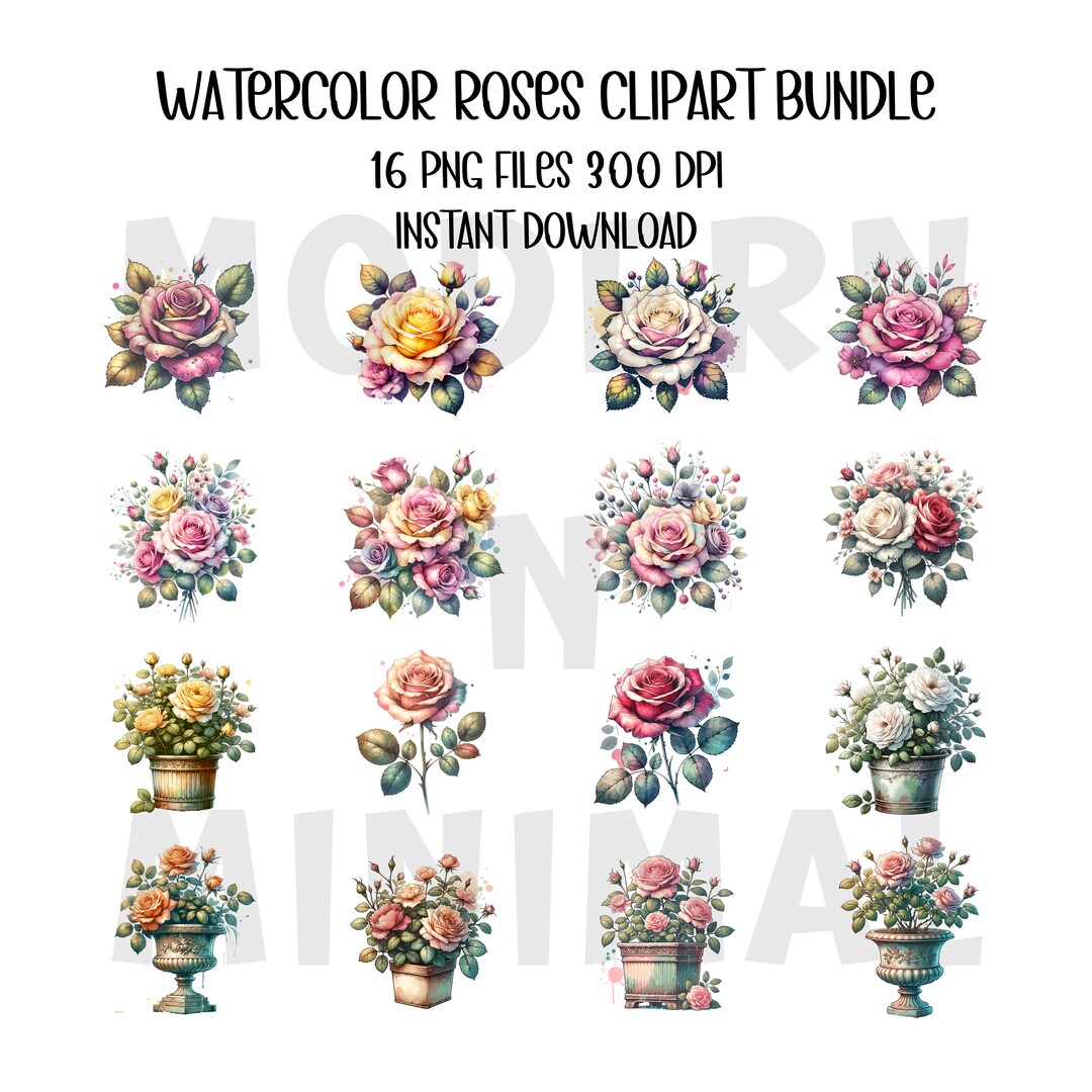 Watercolor Roses Clipart Bundle 16 PNG Files 300 DPI Instant Download ...