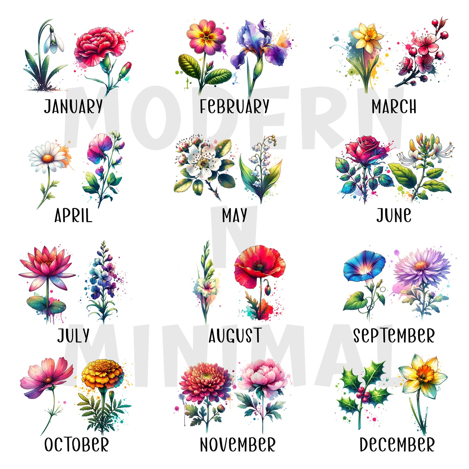 Birth Month Flower Clipart Bundle - Watercolor Two Floral Illustrations ...