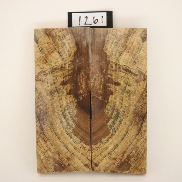American Elm - Etsy