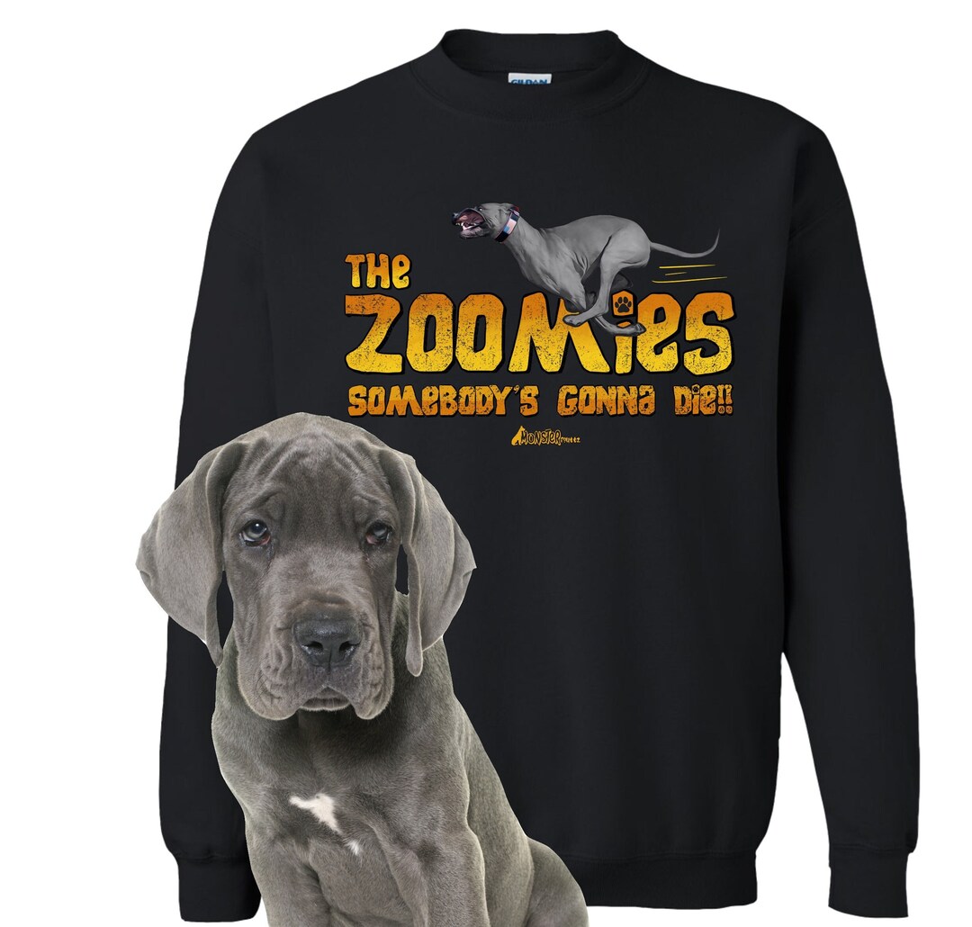 The Zoomies Blue Great Dane Sweatshirt, Funny Great Dane Sweater, Funny ...