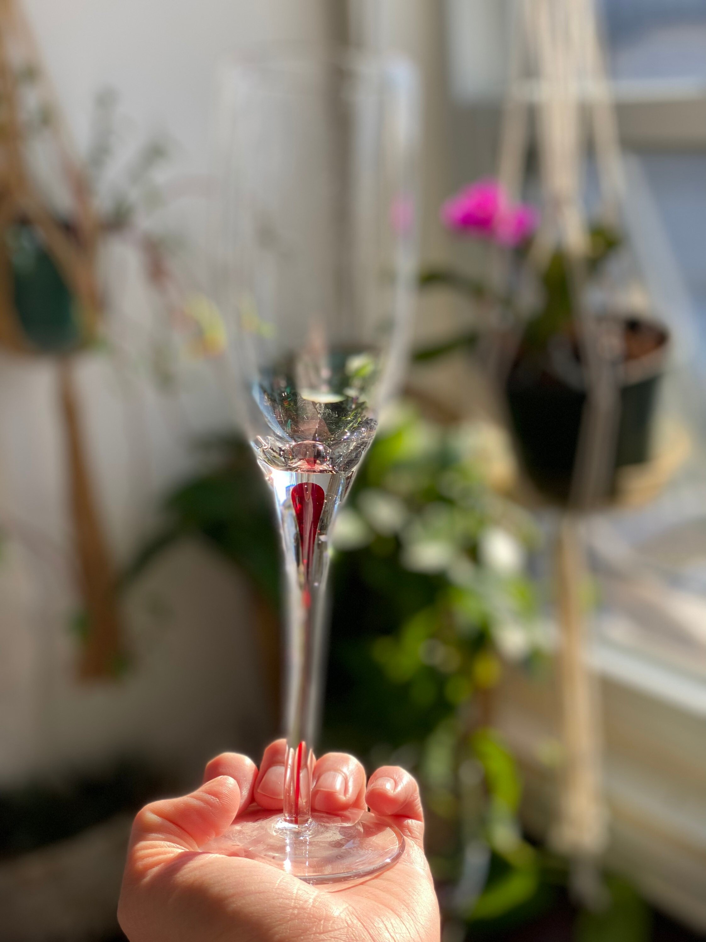 Red Blood Drop Glass Wine Glasses Champagne Flutes New Years - Etsy