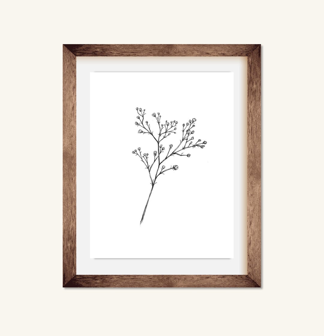 Baby's Breath Floral Line Art Instant Digital Download | Resizable 8 ...