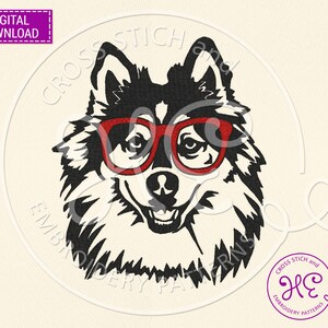Pomsky Dog Embroidery Designs, Machine Embroidery Pattern, Download ...