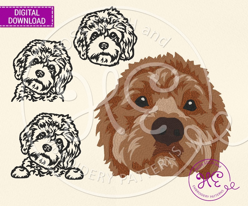 Cavapoo Dog Embroidery Designs Machine Embroidery Pattern - Etsy