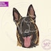 Belgian Malinois Embroidery Designs Machine Embroidery - Etsy