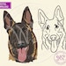 Belgian Malinois Embroidery Designs, Machine Embroidery Pattern ...