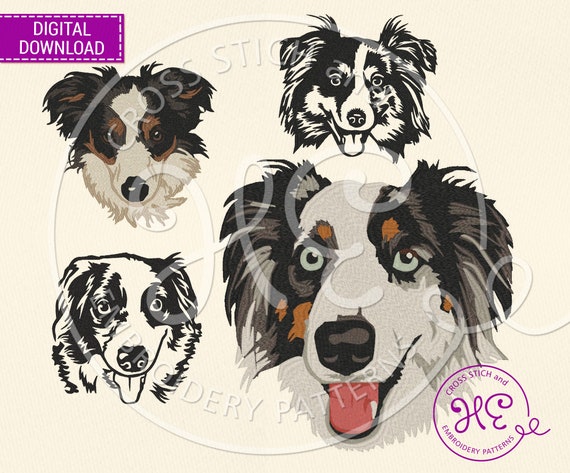 Australian Shepherd Embroidery Design Machine Embroidery - Etsy